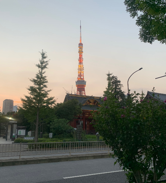 2 Faces of Tokyo Tour - Tokiotours Private Guides in Japan