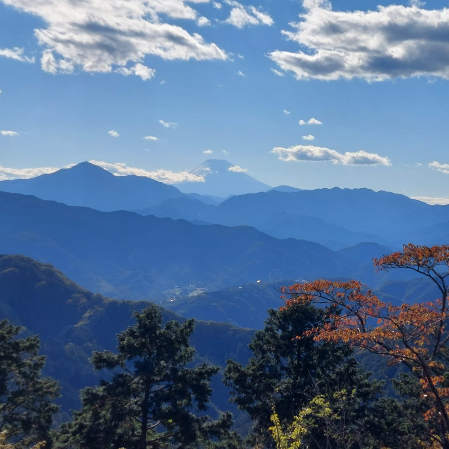 Hiking Tour from Tokyo - Private Guides Japan